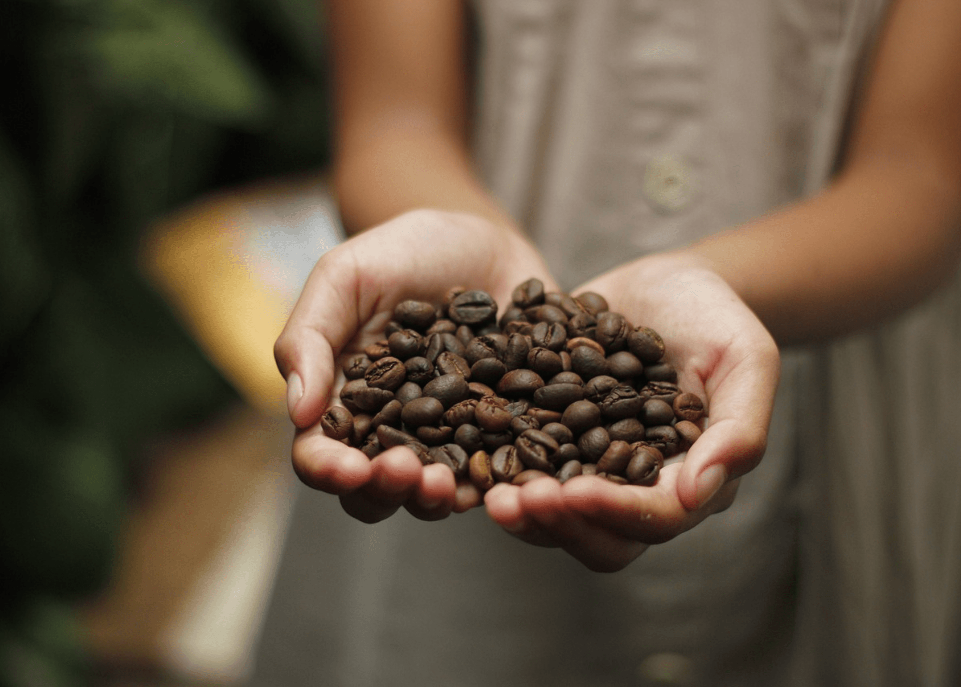 Can You Eat Coffee Beans? Benefits, Risks, & Safe Eating Tips - CoffeeNip